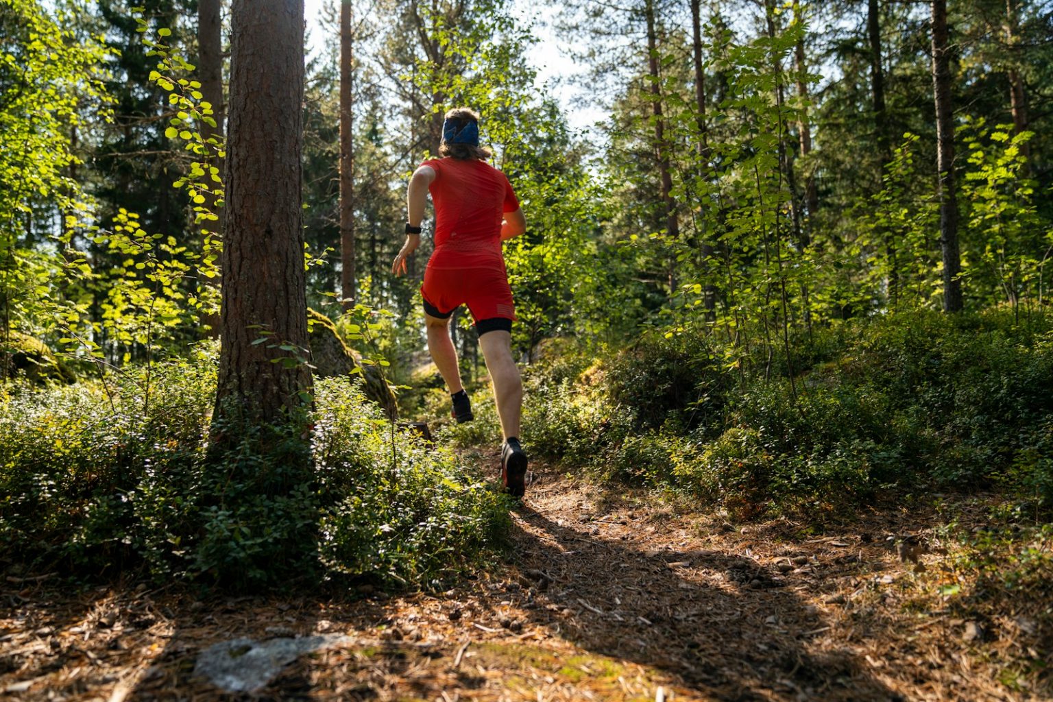 Les différents formats de trail : distances et dénivelés